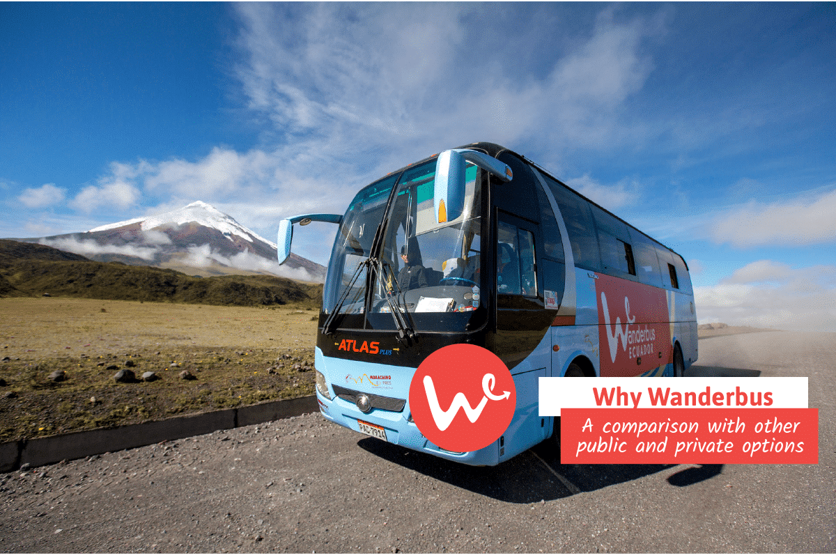 Why choose Wanderbus over public buses or private tours