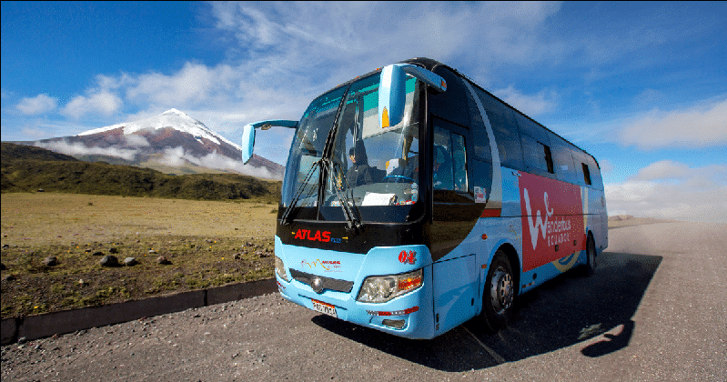 Why choose Wanderbus over public buses or private tours
